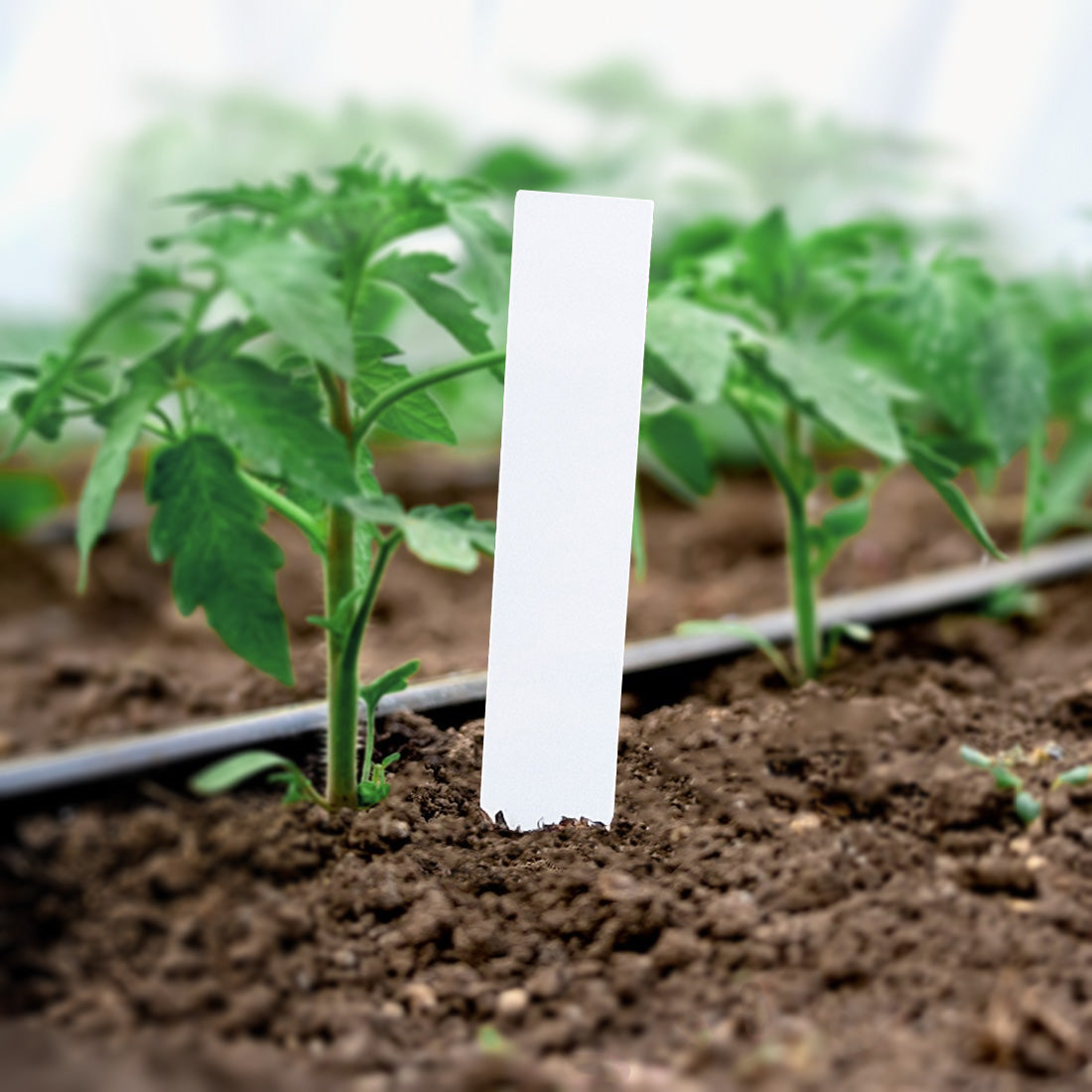 Plant labels for the horticulture – Felga Benelux
